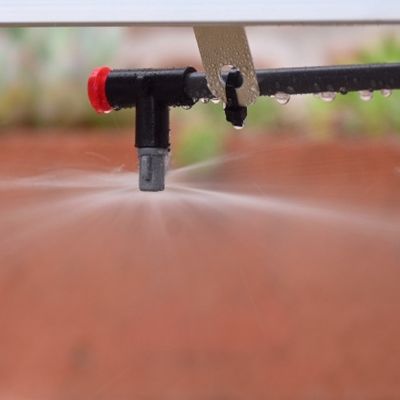 2x4 Access Full Growhouse Lean To