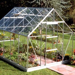 Selection of Quality 8ft Wide Greenhouses