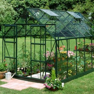 Selection of Quality 8ft Wide Greenhouses
