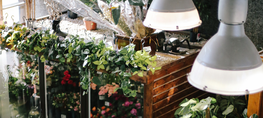 Greenhouse Lighting Ideas - SWGreenhouses.co.uk