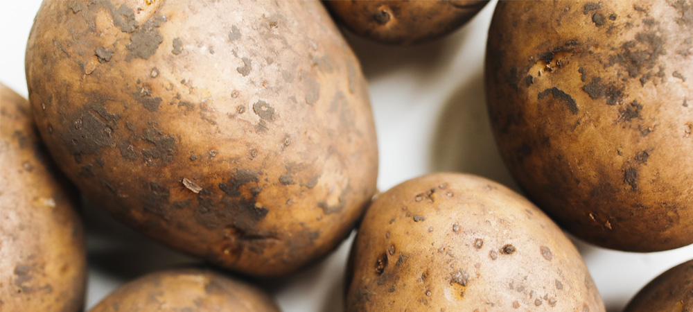 How To Grow Potatoes: Chitting, Planting & Harvesting