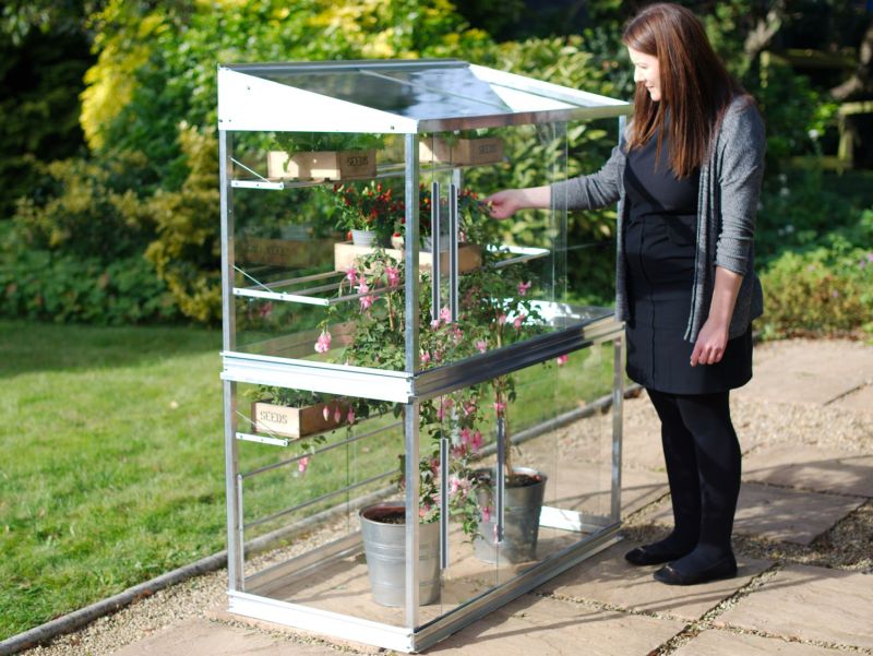 2x4 Access Full Height Growhouse - UK Free Delivery