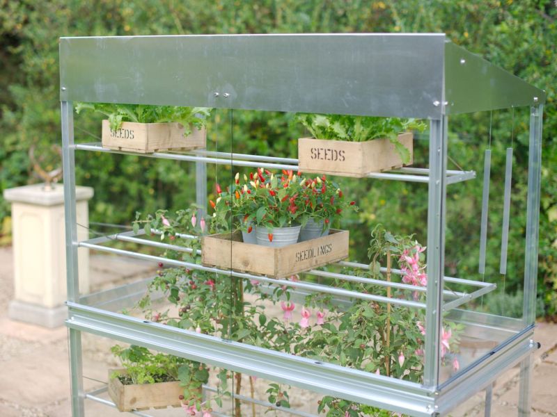 2x4 Access Full Height Growhouse - UK Free Delivery