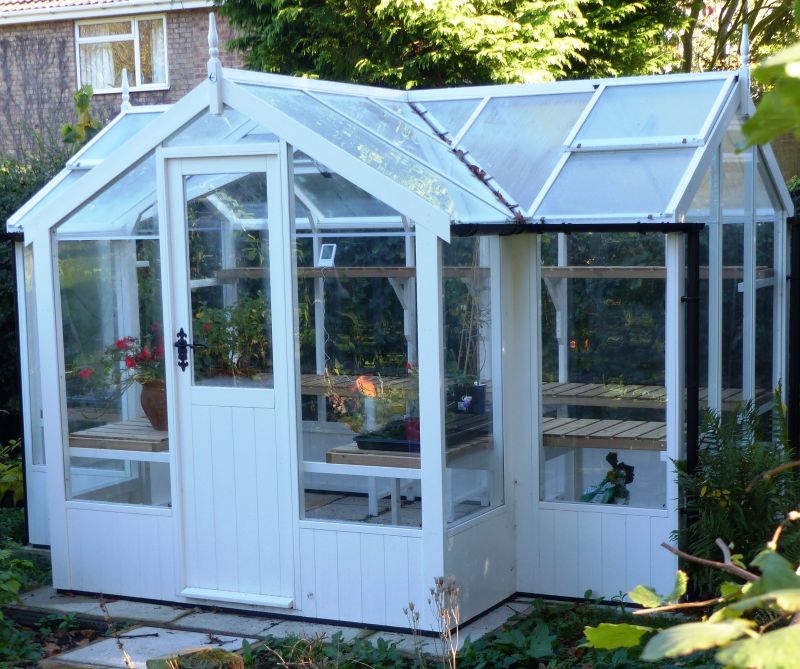 Swallow 6x19 Cygnet T-Shaped Wooden Greenhouse