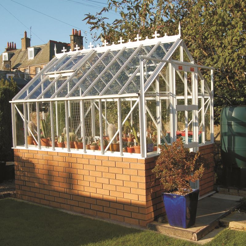 Elite Thyme Dwarf Wall 6x12 Powder Coated Greenhouse - South West ...