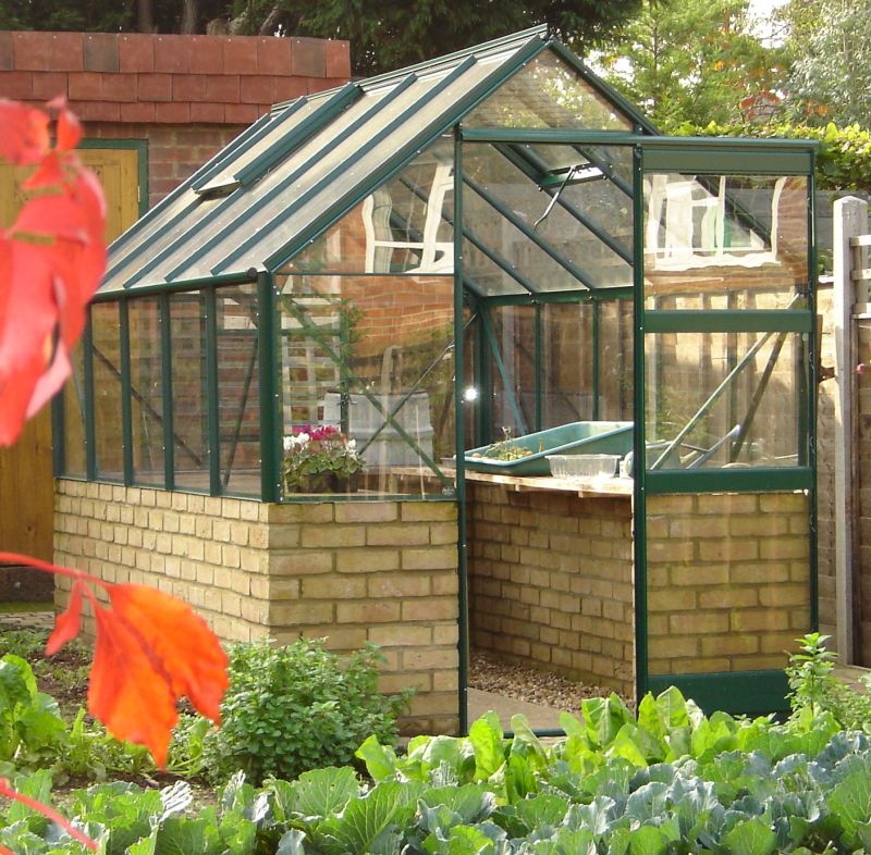 Elite Featured 6x4 Dwarf Wall Painted Greenhouse - South West Greenhouses
