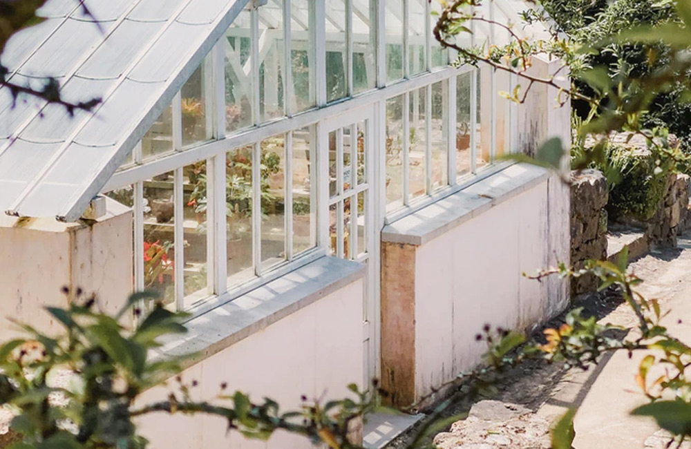 Beginners Guide to Greenhouses - How to Use a Greenhouse?